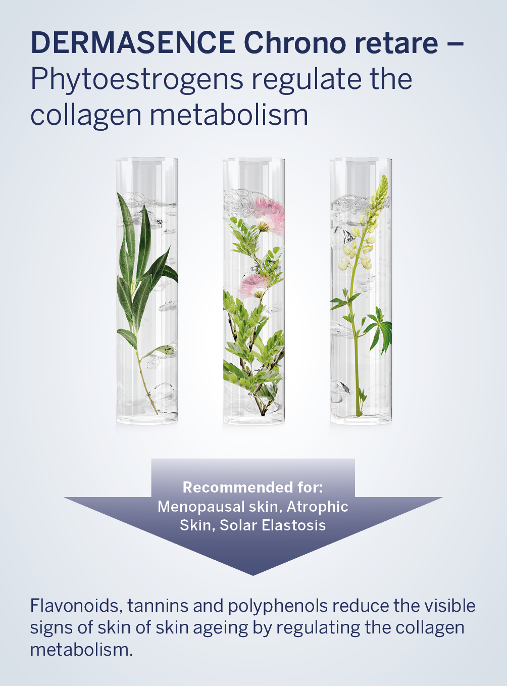 How Does DERMASENCE Harness the Power of Plants in its Va • AKADEMIE